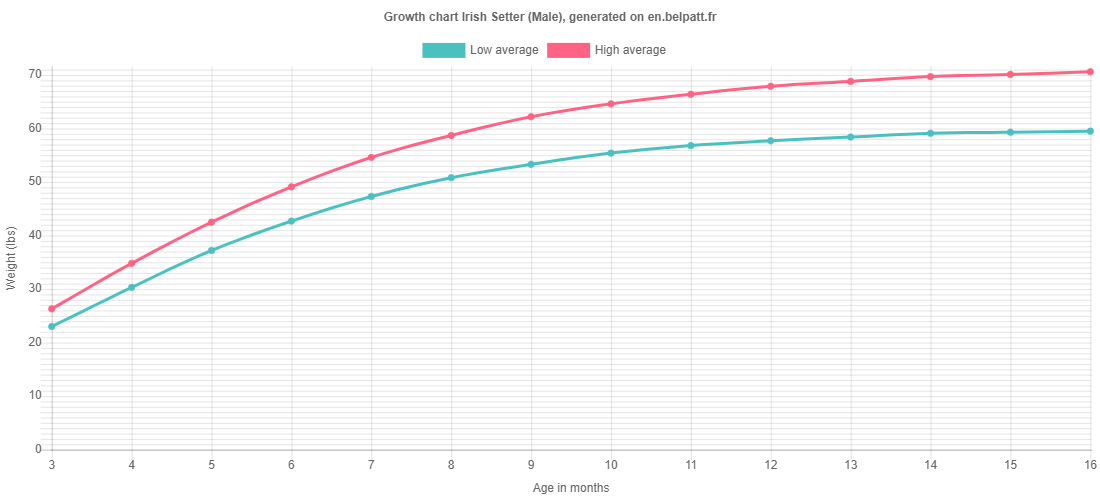 Growth Irish Setter - Puppy weight chart Irish Setter