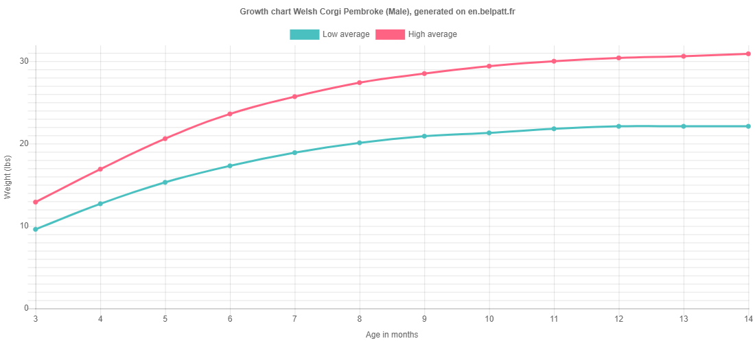 Growth Welsh Corgi Pembroke - Puppy weight chart Welsh Corgi Pembroke
