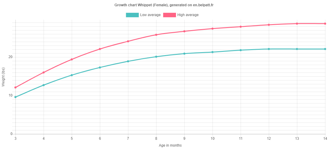 Growth Whippet - Puppy weight chart Whippet